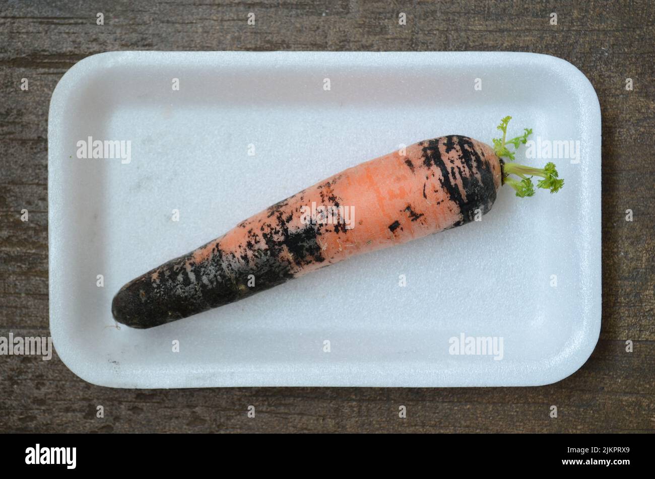 A top view of a carrot with black root rot on a single-use plate on a ...