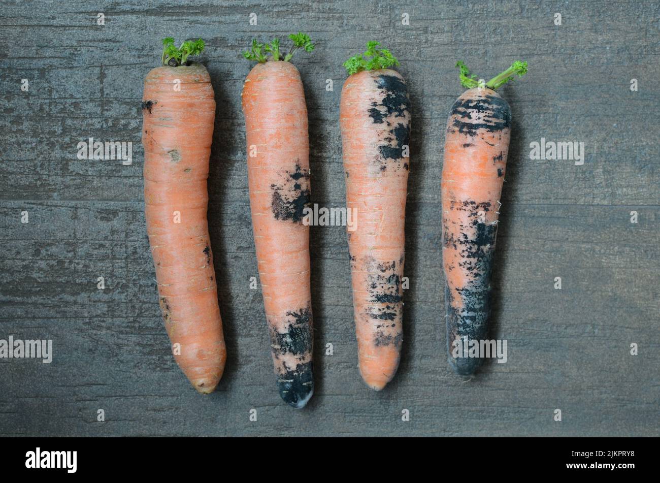 Rotten carrots hi-res stock photography and images - Alamy