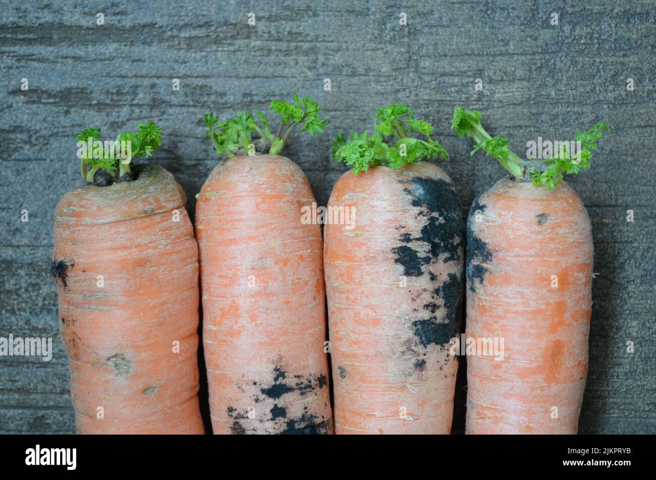 Rotten carrots hi-res stock photography and images - Alamy
