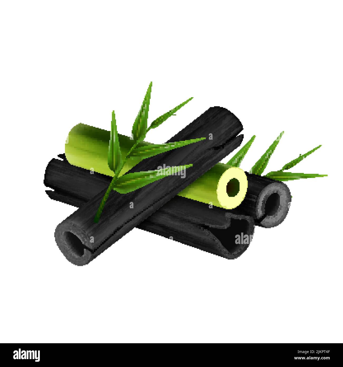 charcoal bamboo realistic vector Stock Vector Image & Art - Alamy