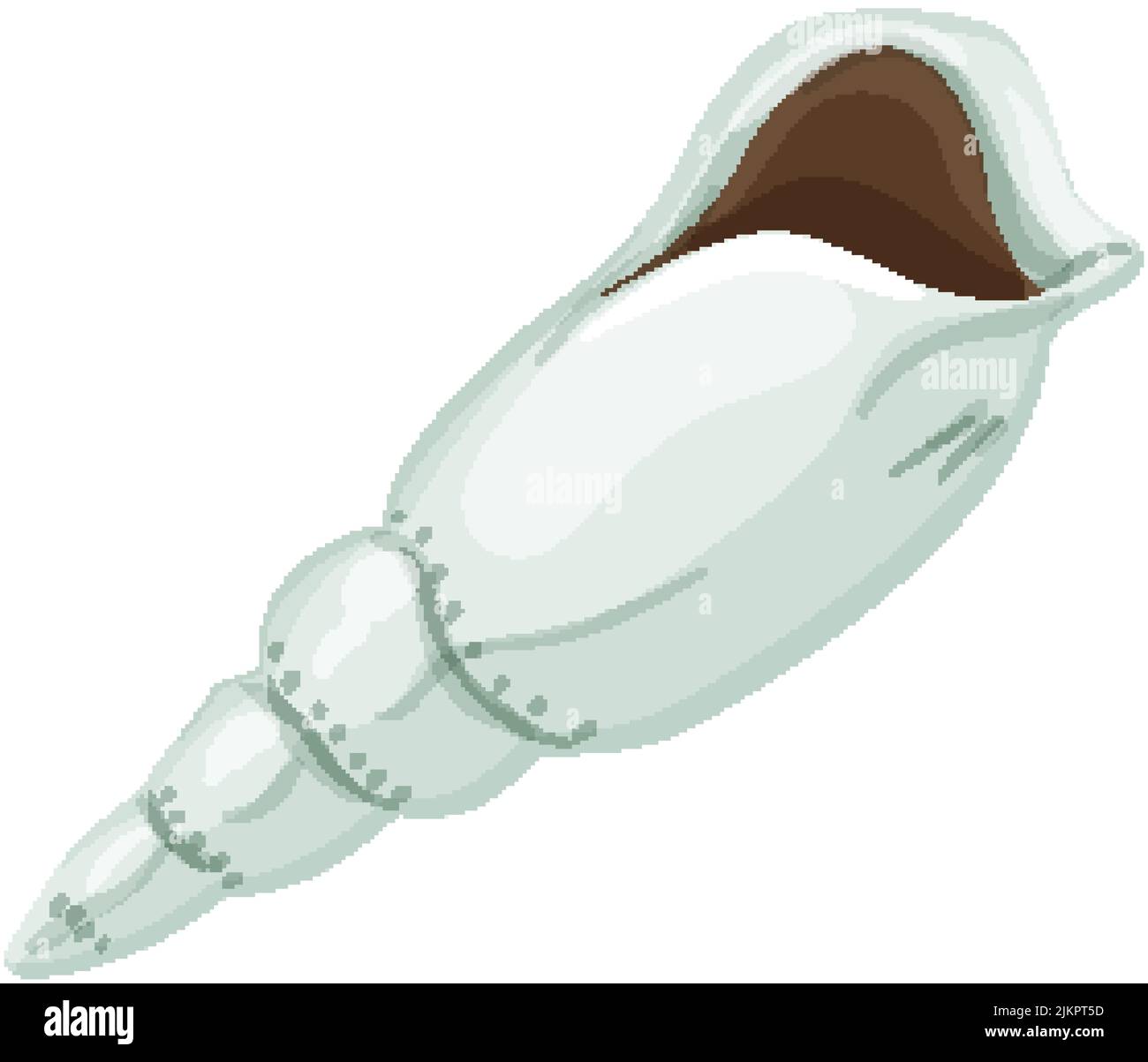 ocean sea shell cartoon vector illustration Stock Vector Image & Art ...
