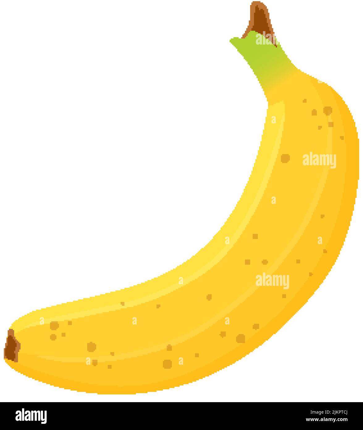 Banana Fruit Anatomy at Sophia Iliffe blog