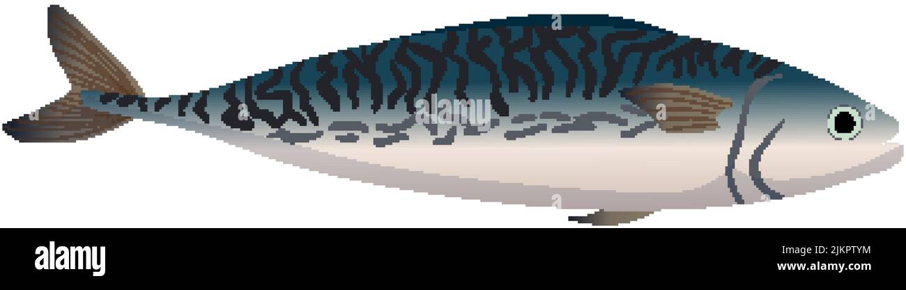 mackerel fish cartoon vector illustration Stock Vector Image & Art - Alamy