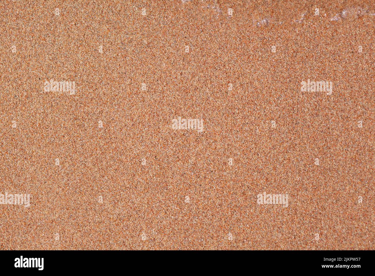 The texture of pure sand on the beach or in the desert. There is free ...