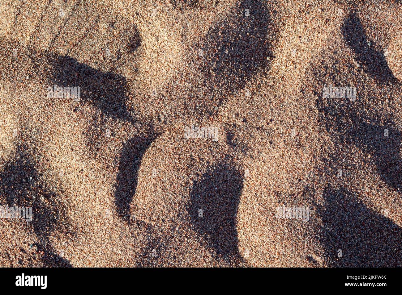 The texture of pure sand on the beach or in the desert. There is free ...