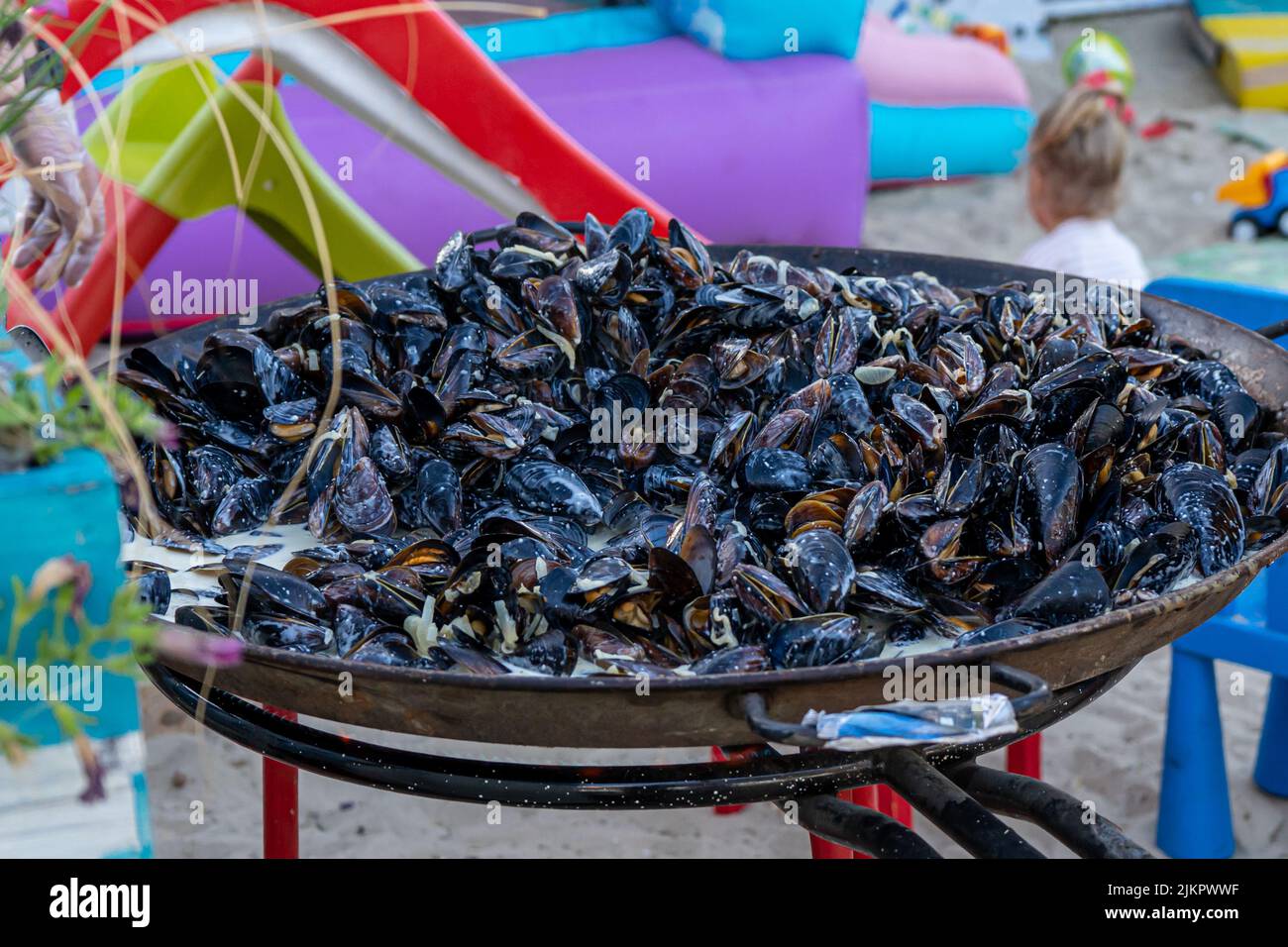 Cooking mussels in big pan Stock Photo - Alamy