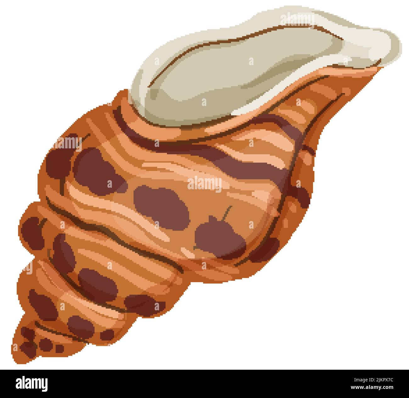 Conch Sea Shell Cartoon Vector Illustration Stock Vector Image And Art