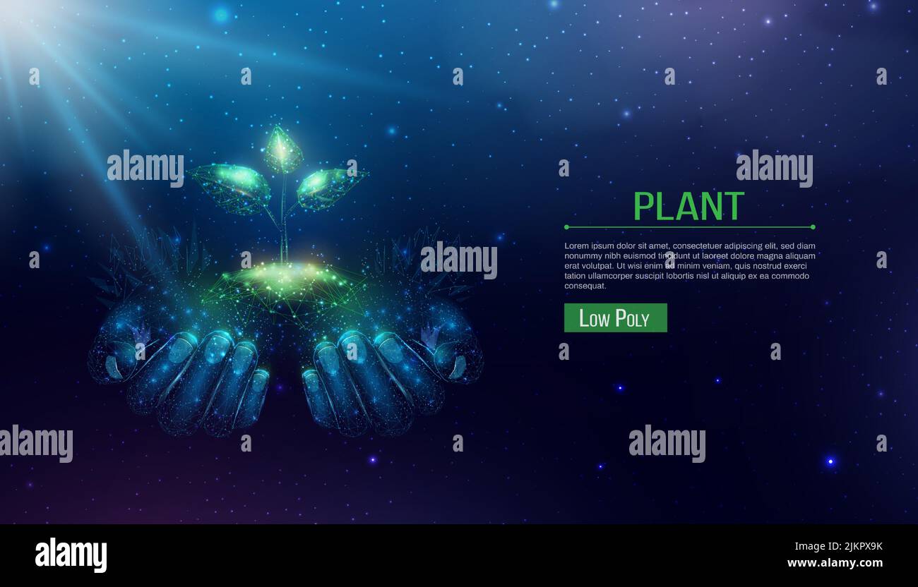 Two human hands are holds green sprout. Glowing low poly hands and ...