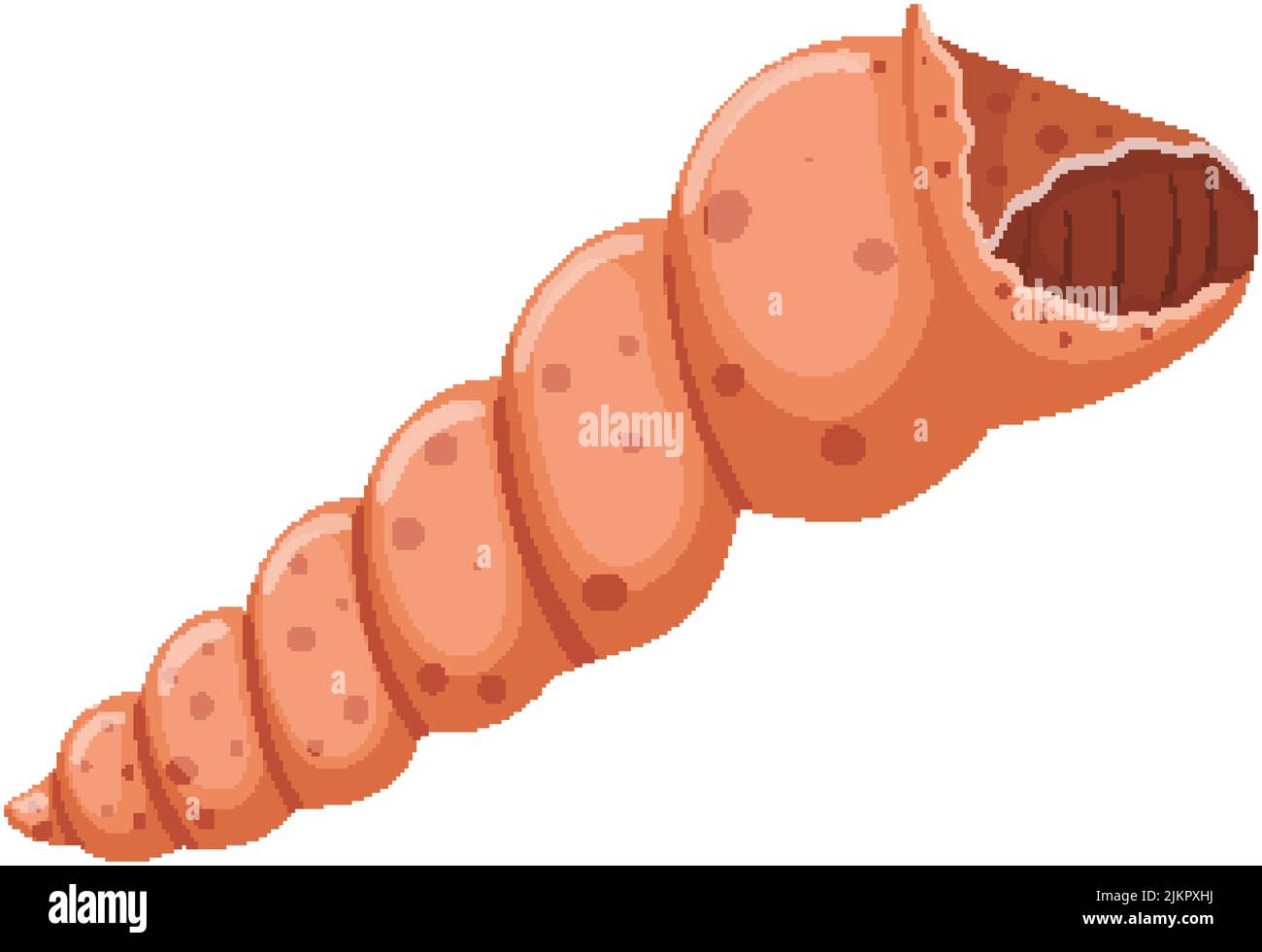 shell sea cartoon vector Stock Vector Image & Art - Alamy