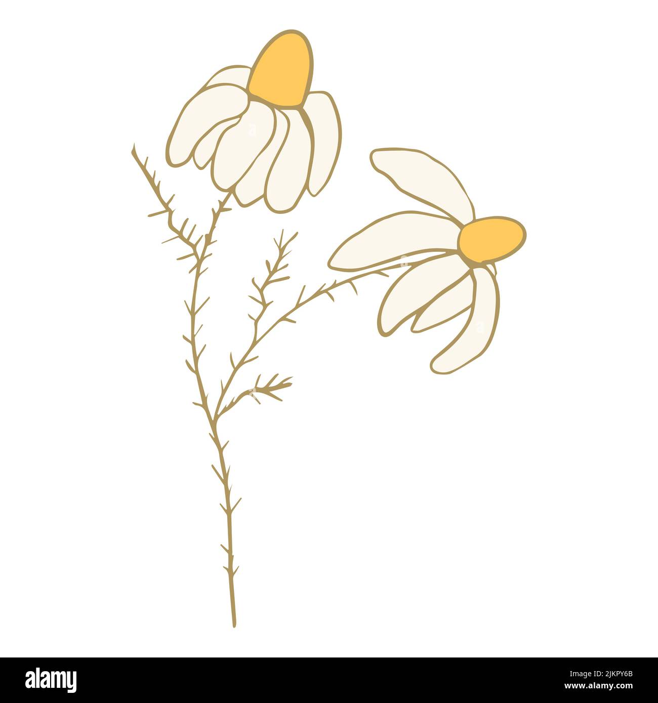 Daisy floral doodle design element isolated on white background. Funny ...
