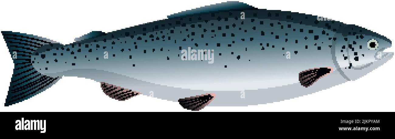 salmon fish cartoon vector illustration Stock Vector Image & Art - Alamy
