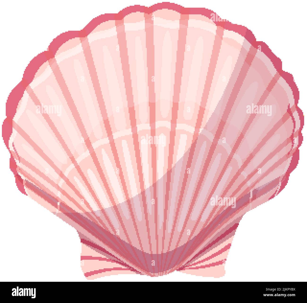 shell sea cartoon vector Stock Vector Image & Art - Alamy