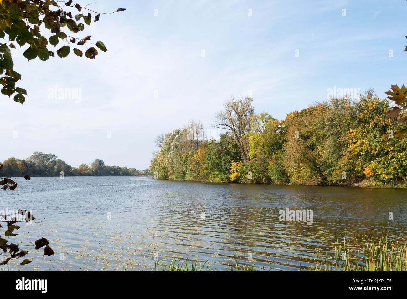 Beautiful landscape, trees with yellow leaves on the river bank. Autumn ...