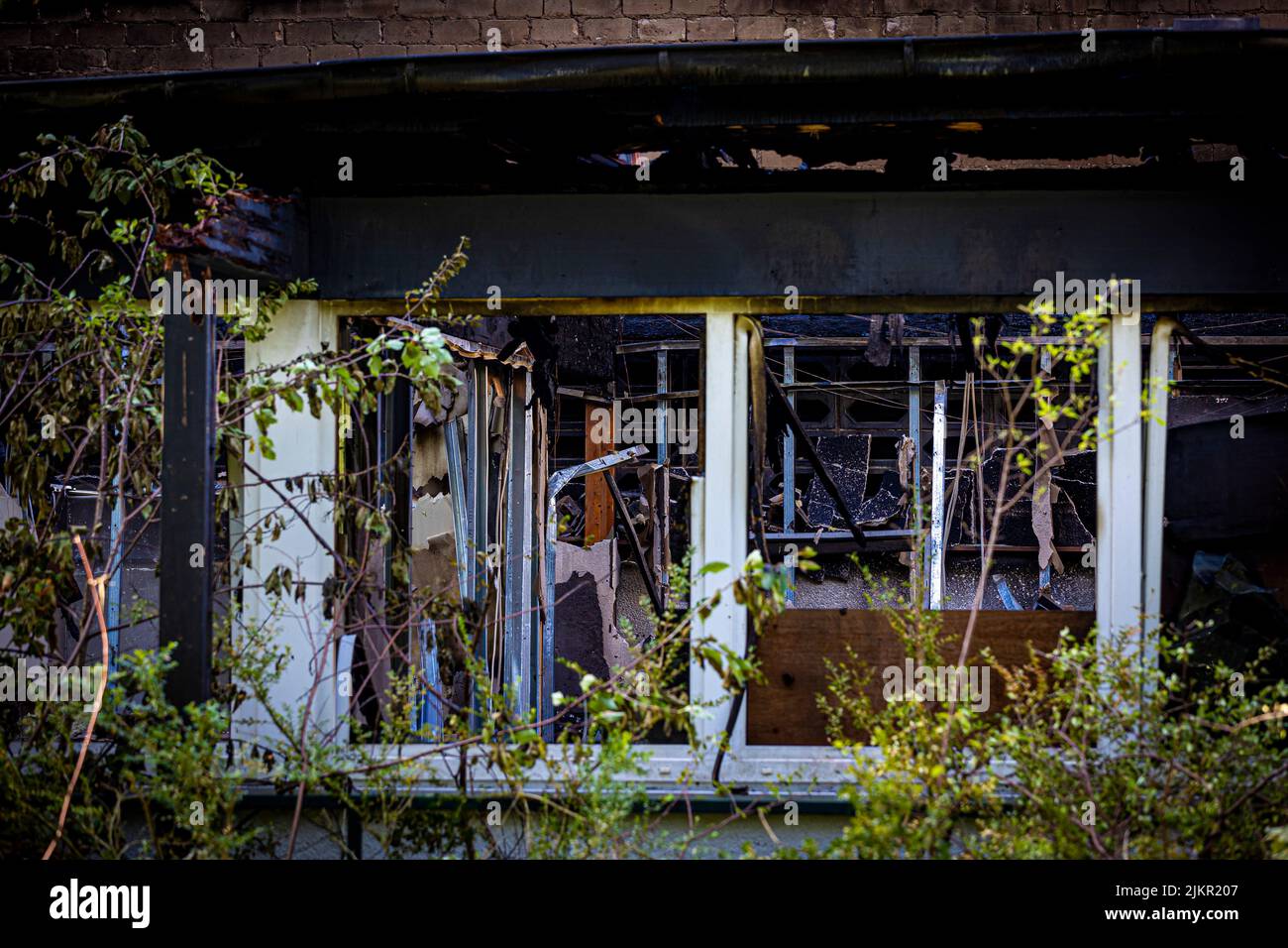 Bomberg hi-res stock photography and images - Alamy