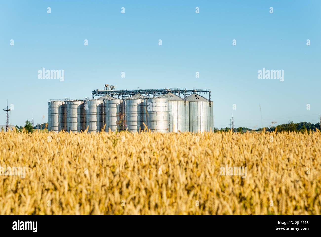 Grain storage silos system,golden wheat field under a summer blue clear ...