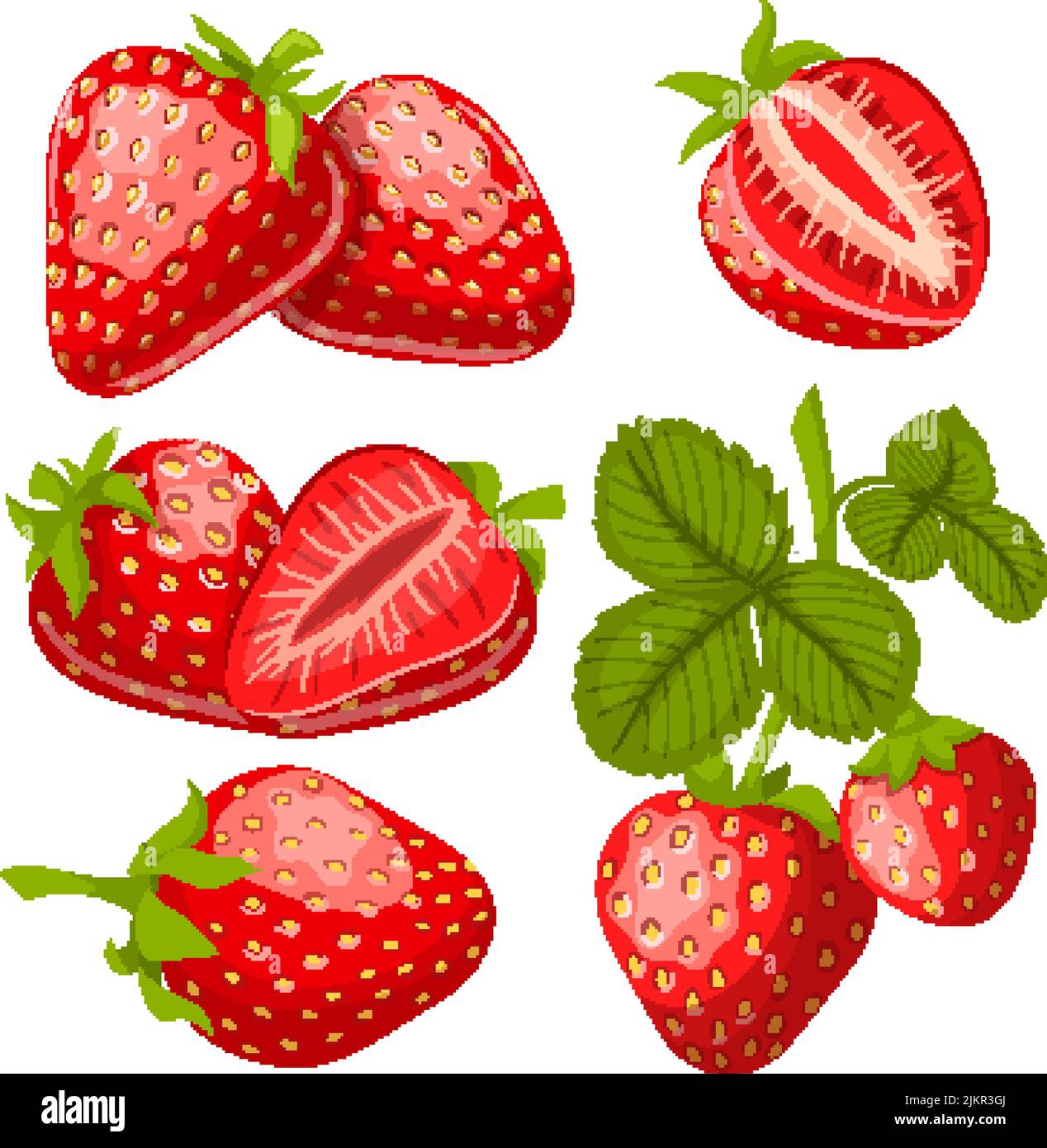 strawberry fruit set cartoon vector illustration Stock Vector Image ...