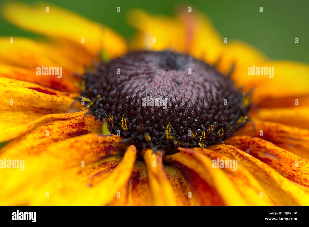 Natur photography hi-res stock photography and images - Alamy