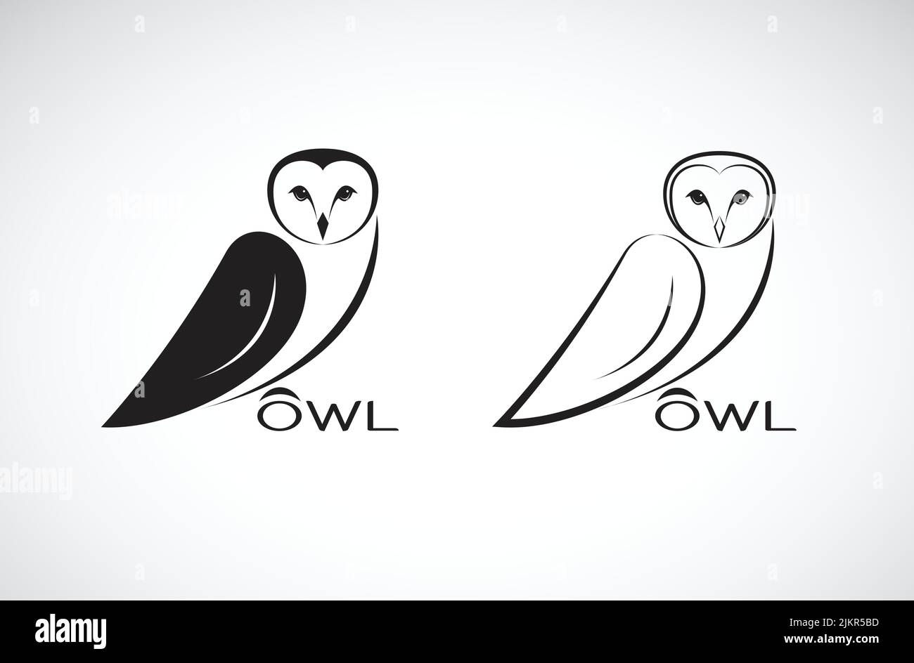 Vector of an owl design on white background. Bird. Wild Animals. Vector ...