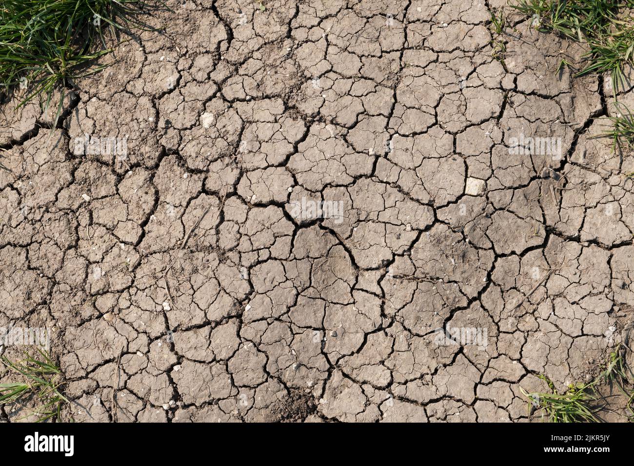 Close up cracked ground Stock Photo - Alamy