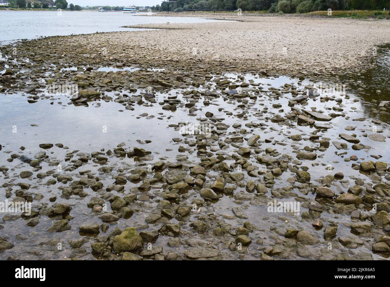 dry Rhine shore at an island Stock Photo - Alamy