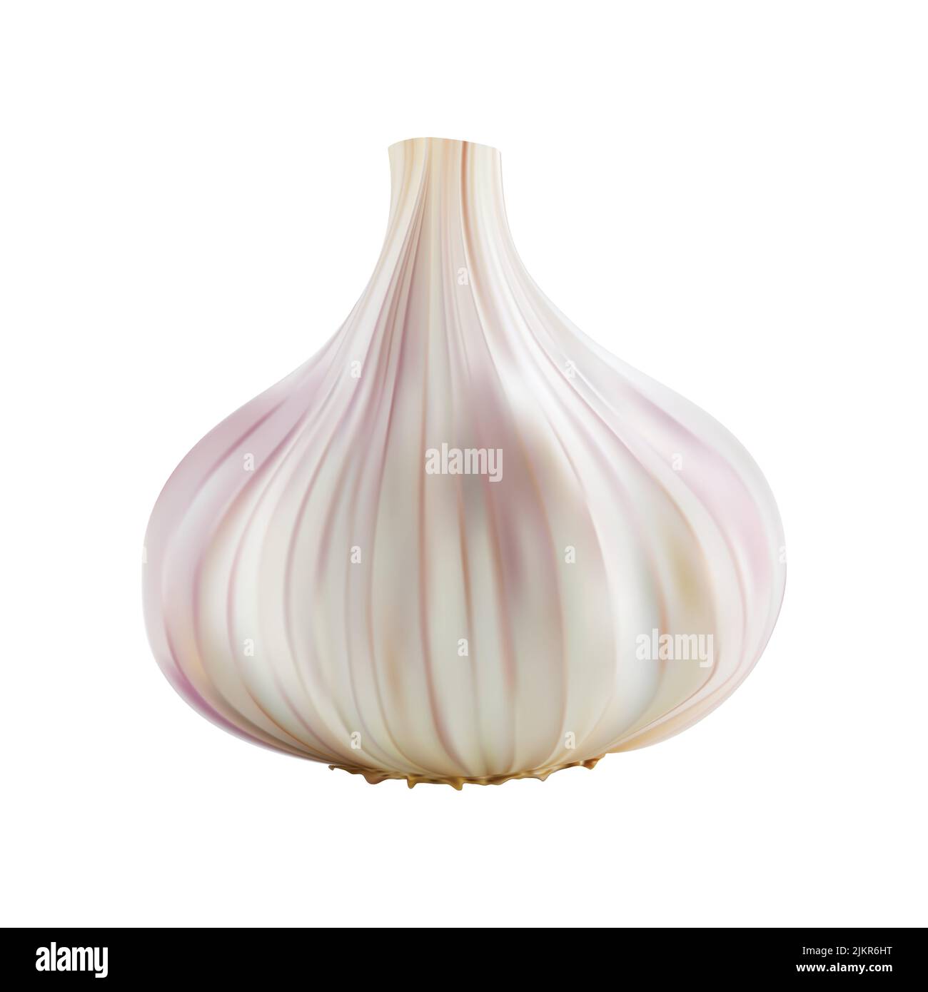 realistic garlic vector illustration Stock Vector Image & Art - Alamy