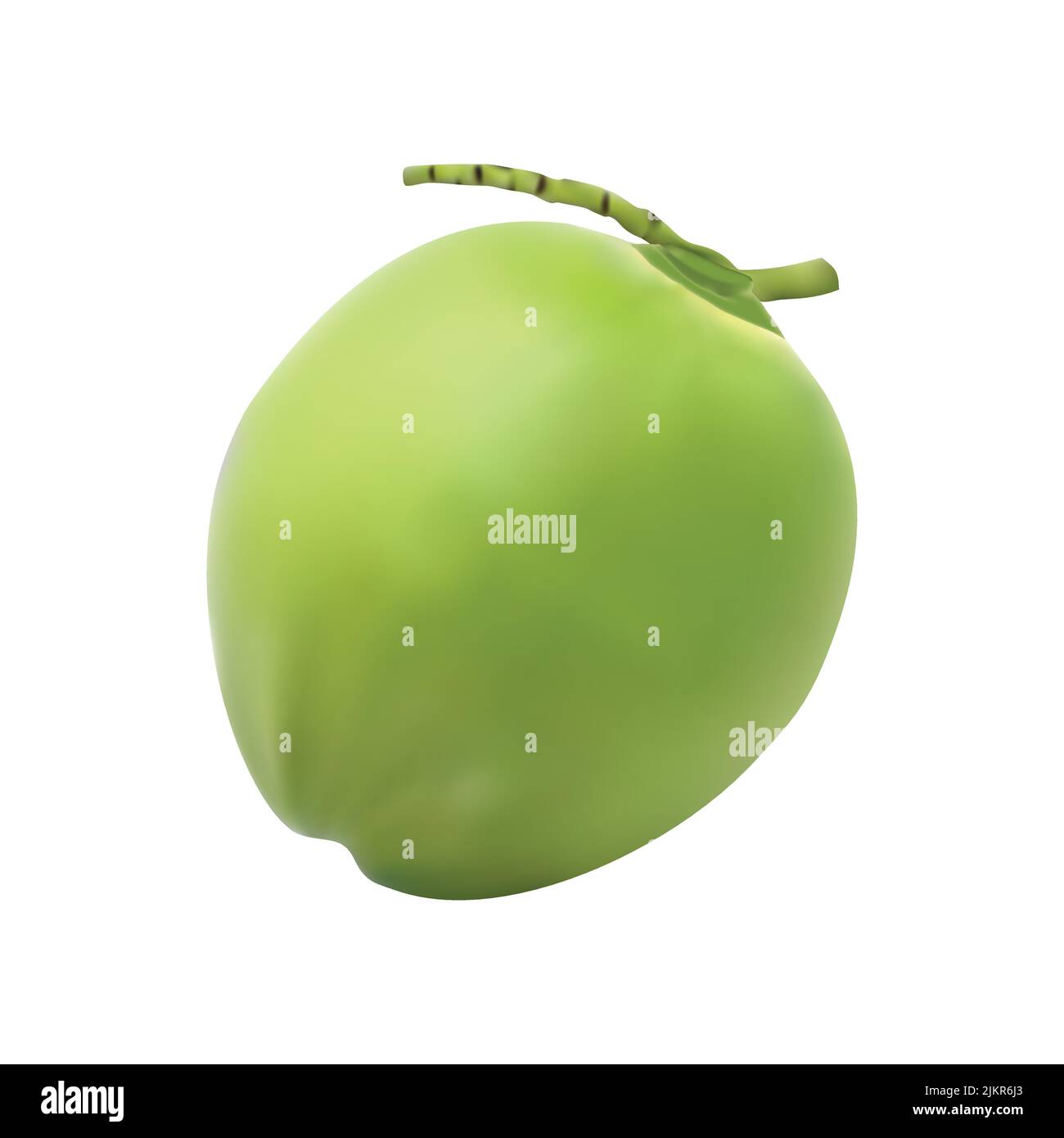 Vector realistic green shiny Cut Out Stock Images & Pictures - Alamy