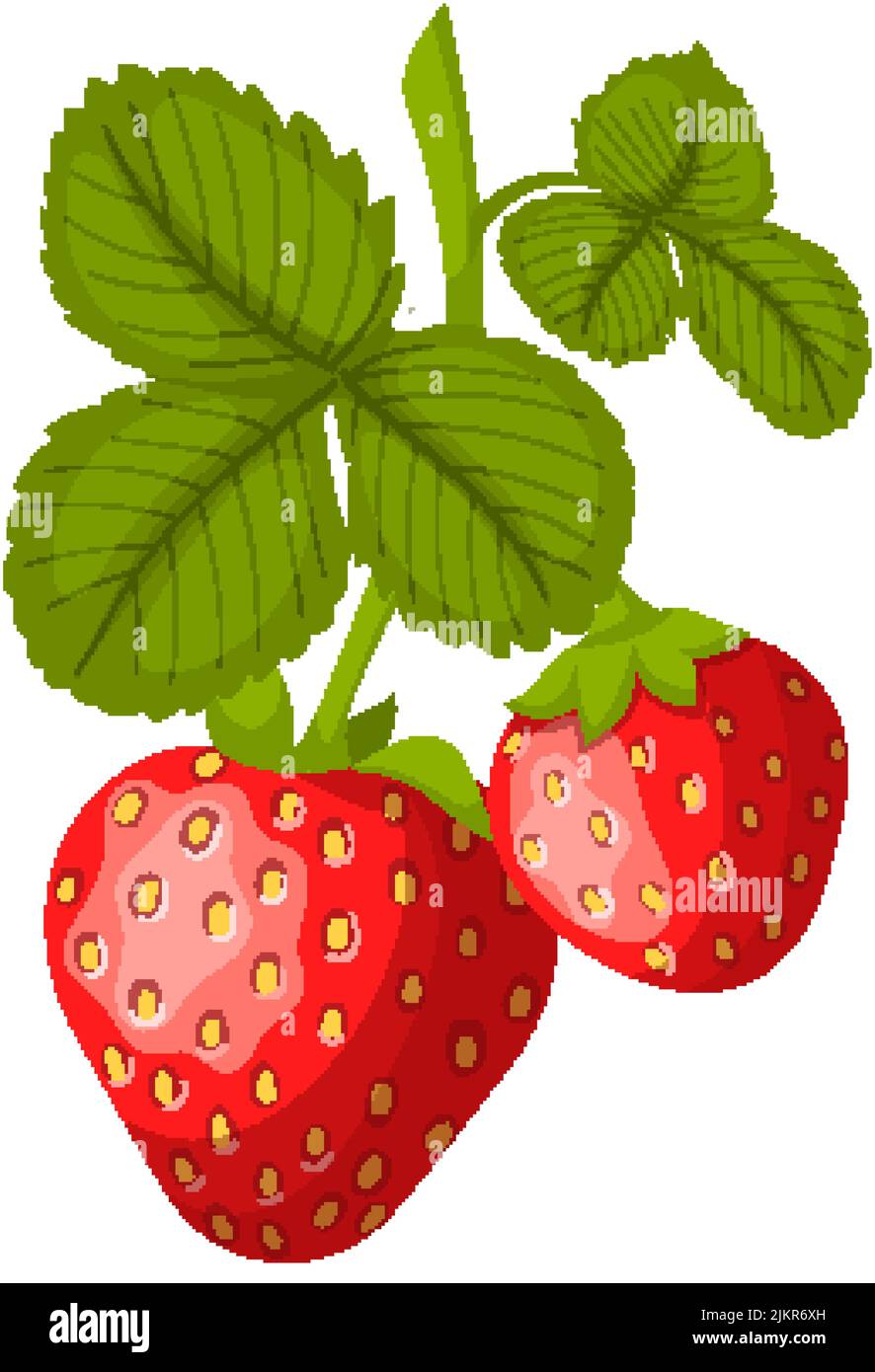 strawberry cartoon vector illustration Stock Vector Image & Art - Alamy