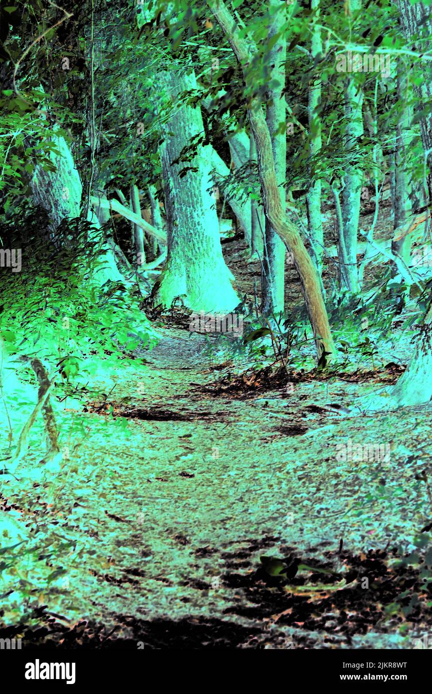 Beautiful fresh meadow in the summer wilderness in a bright neon color ...