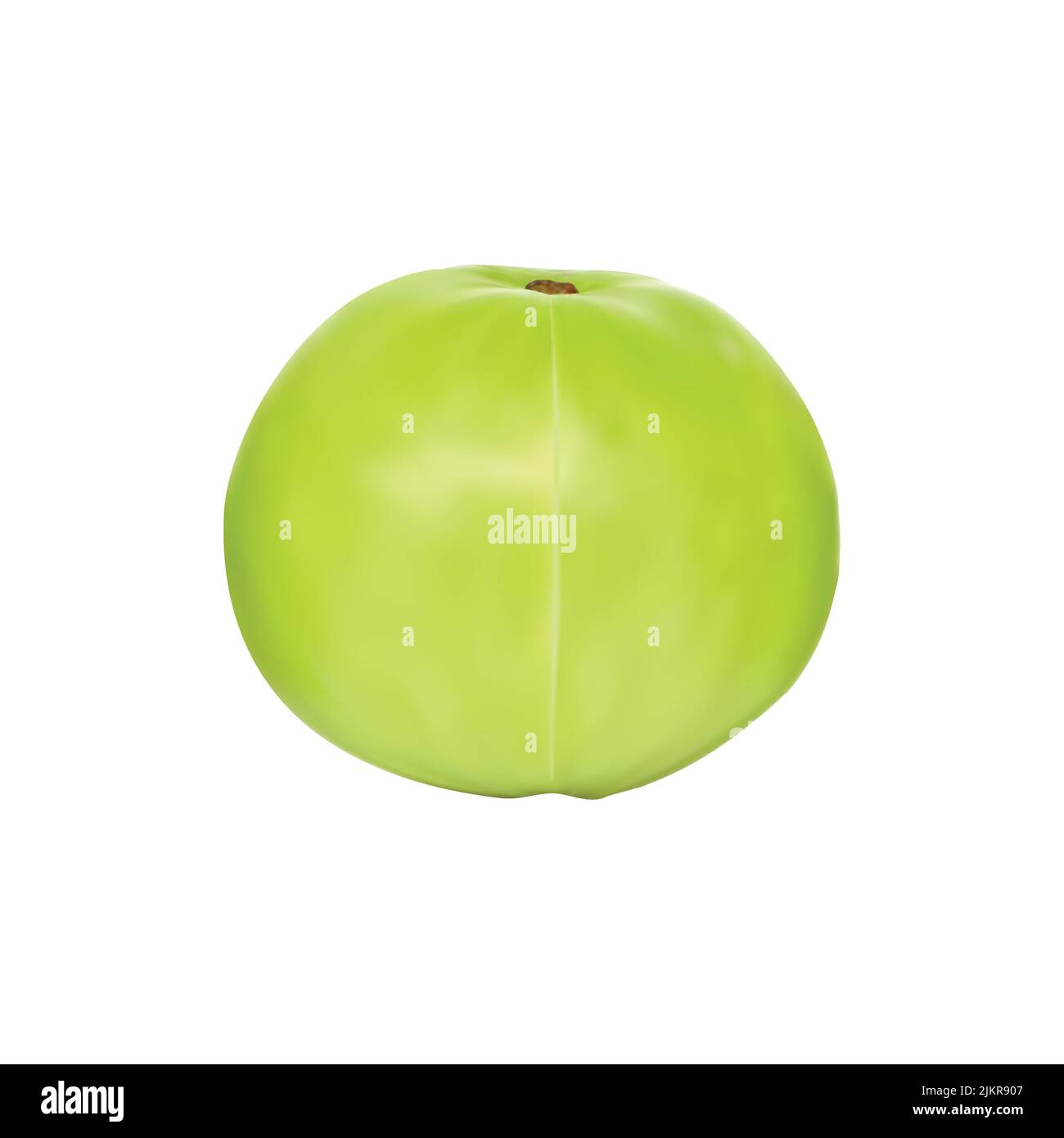 3d amla vector illustration isolated on white Stock Vector Image & Art ...