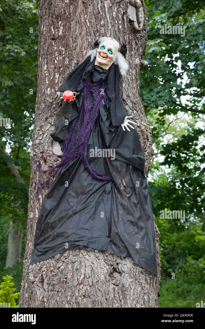 Scary witch hi-res stock photography and images - Alamy