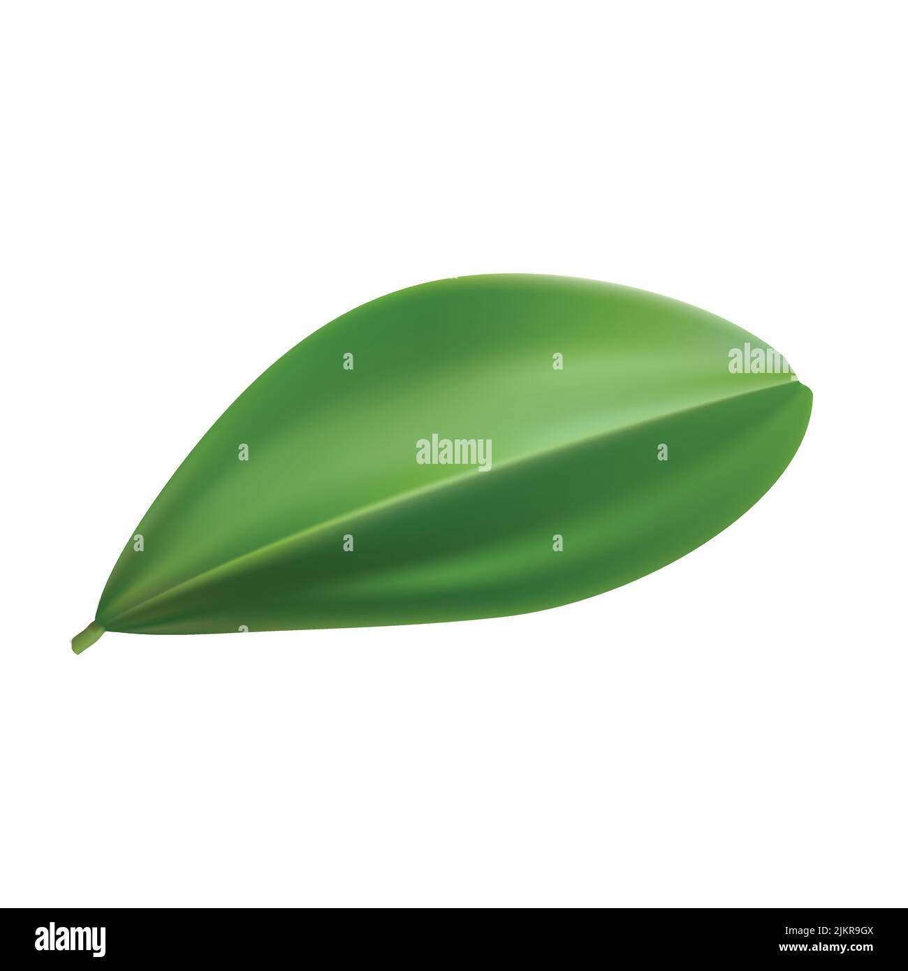 3d simple leaf vector illustration Stock Vector Image & Art - Alamy