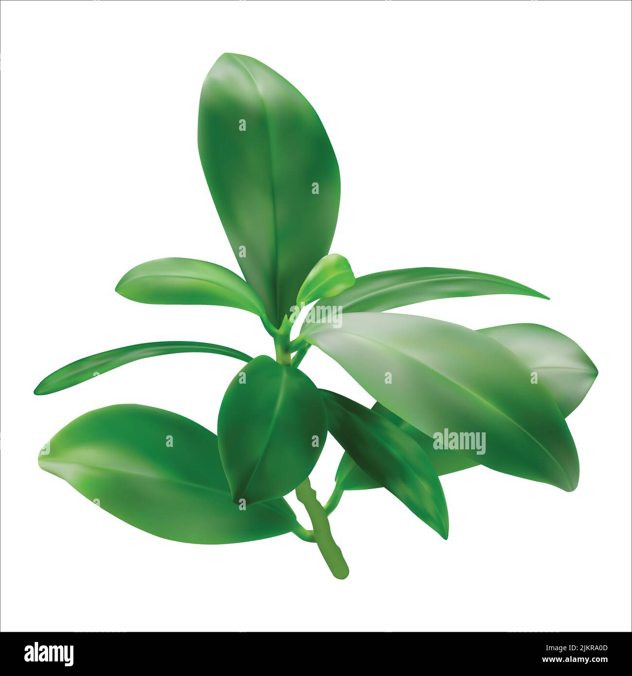 Forest garden Stock Vector Images - Alamy