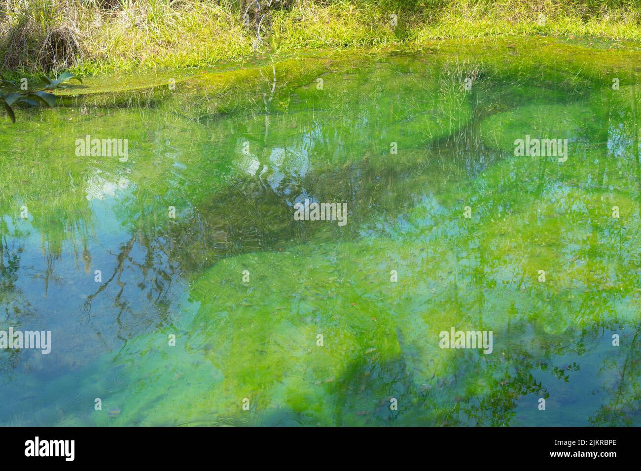 Scenic View Of Lake Against Sky Stock Photo - Alamy