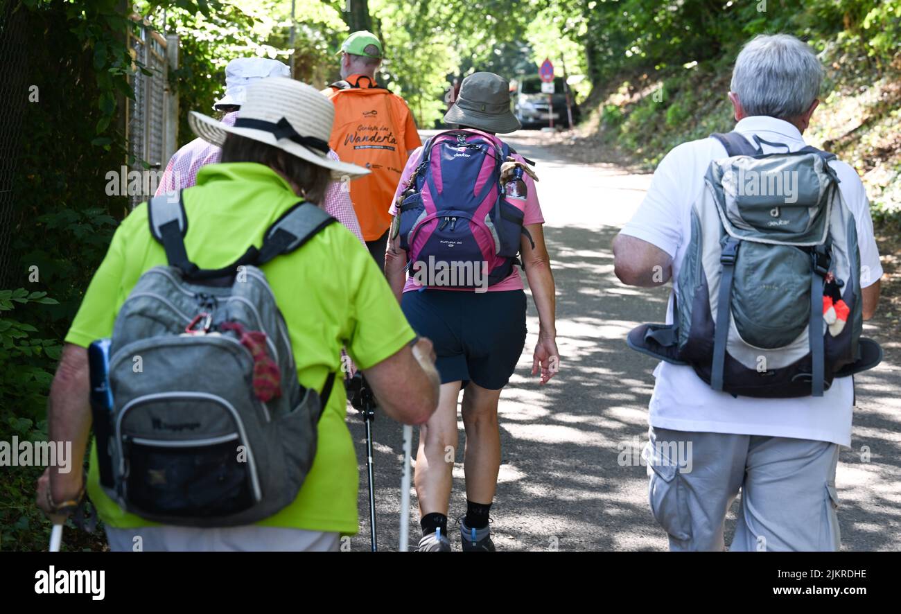 Fellbach, Germany. 03rd Aug, 2022. A hiking group walks along a forest ...