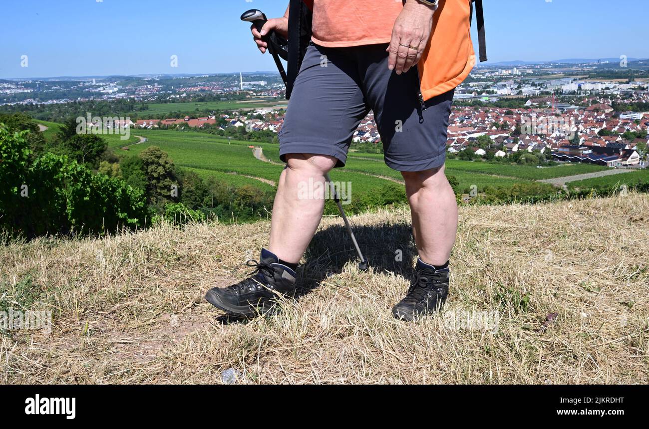 Fellbach, Germany. 03rd Aug, 2022. A hiker walks on a meadow at the ...