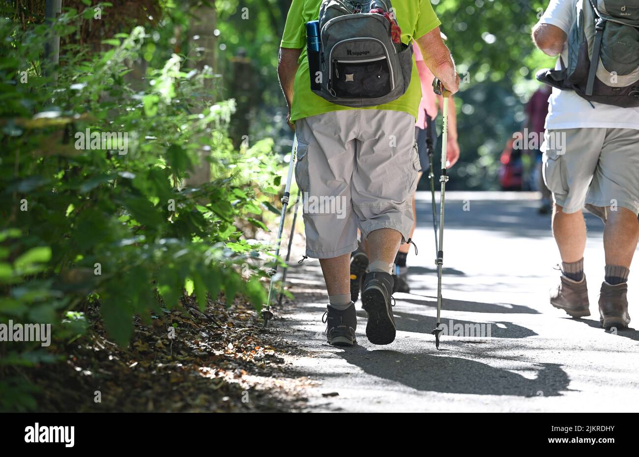 Fellbach, Germany. 03rd Aug, 2022. A hiking group walks along a forest ...