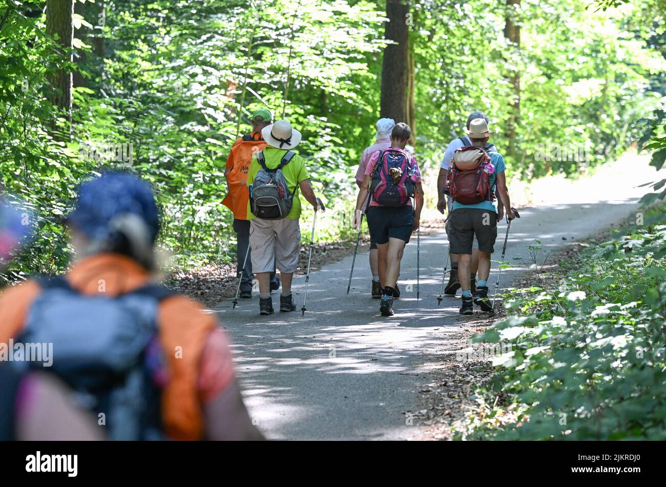 Fellbach, Germany. 03rd Aug, 2022. A hiking group walks along a forest ...