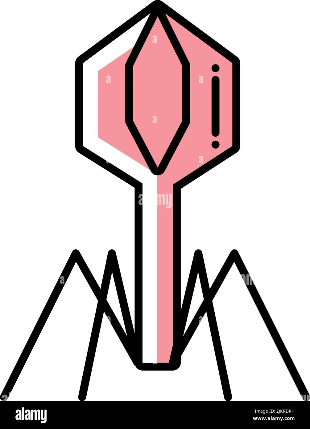 Bacteriophage bacteria Stock Vector Images - Alamy