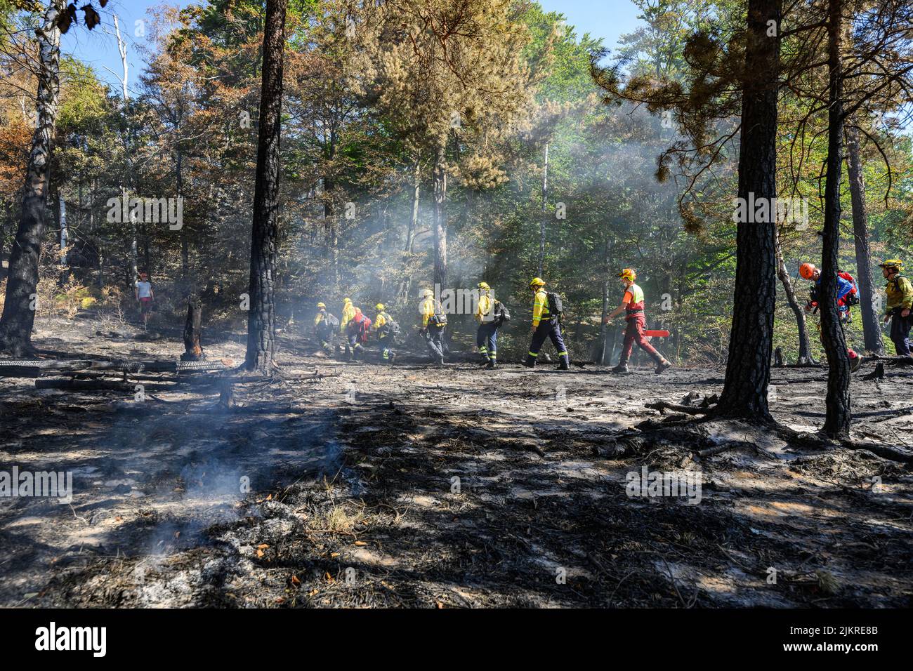 Bad Schandau, Germany. 03rd Aug, 2022. Volunteer firefighters of the ...