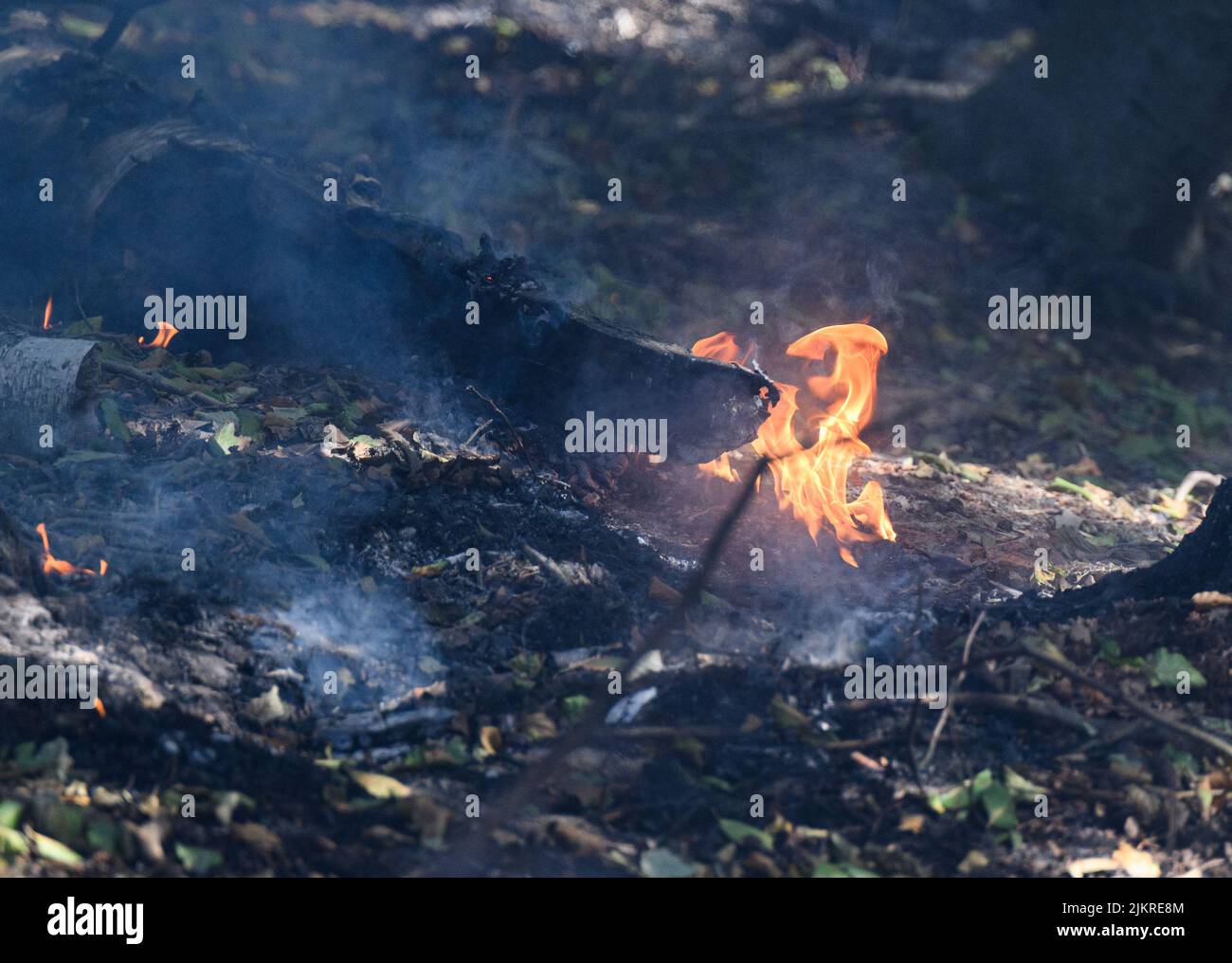 Bad Schandau, Germany. 03rd Aug, 2022. Flames blaze at an ember during ...