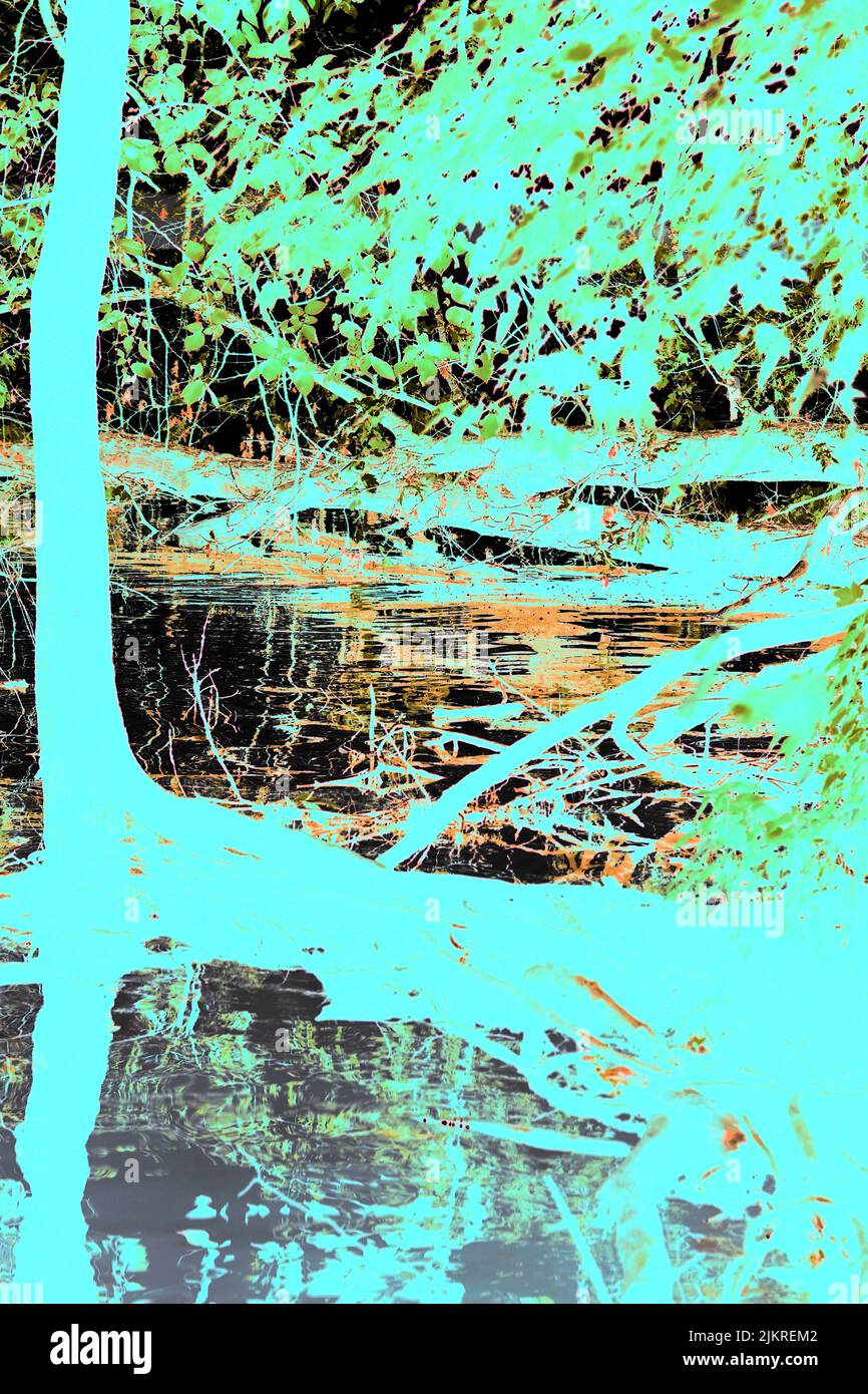 Beautiful fresh meadow in the summer wilderness in a bright neon color ...