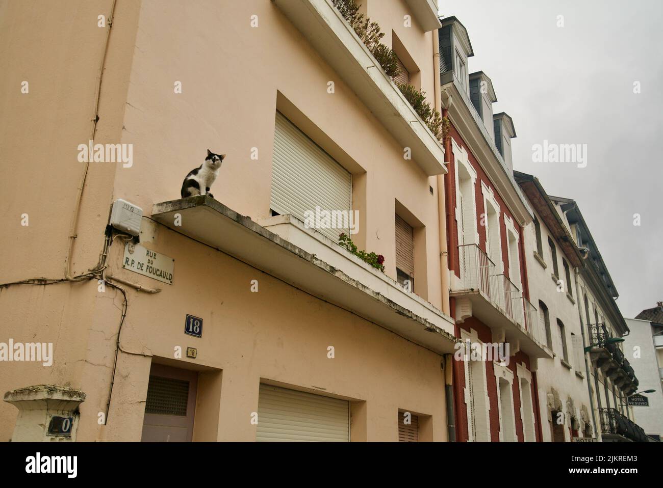Black and white cat sat on a window ledge of a house in a French town ...