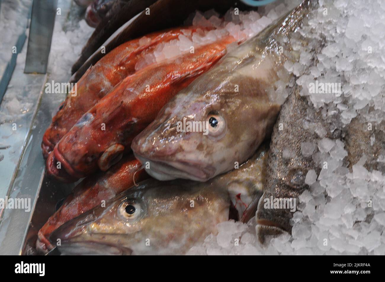 Copenhagen /Denmark/03 August 2022/Sea food fish shoppers in ...