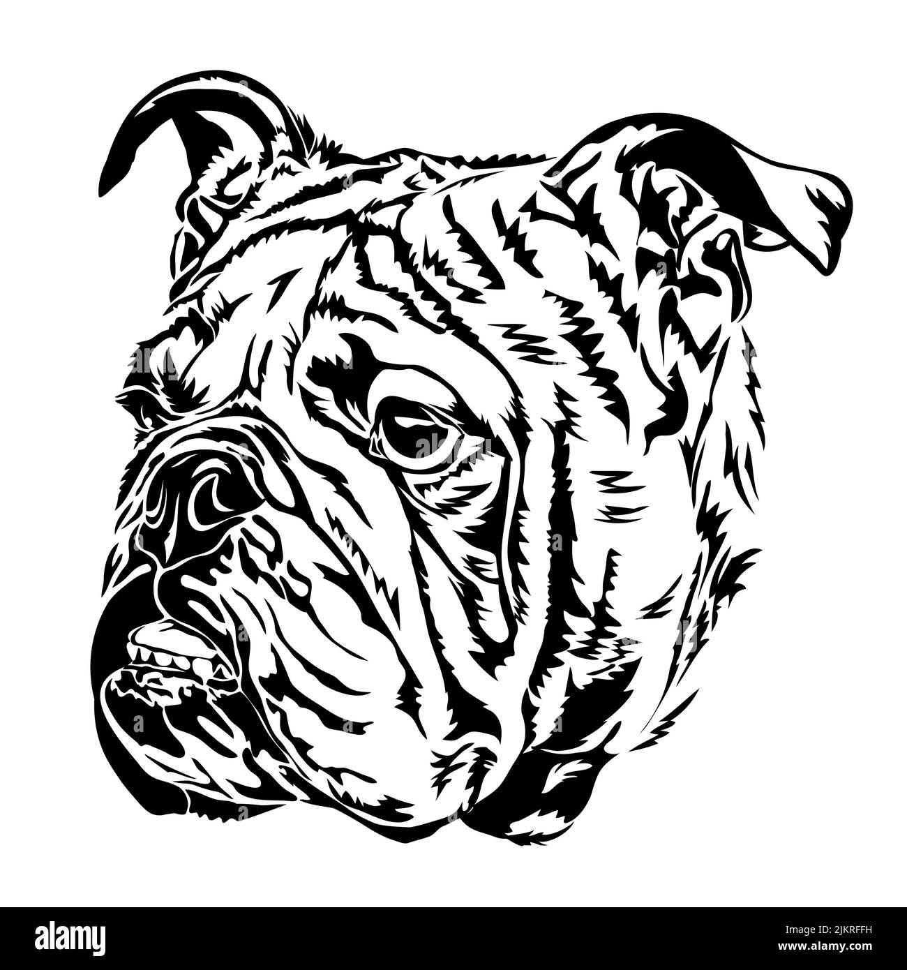 English bulldog, portrait drawing black silhouette on white, vector ...