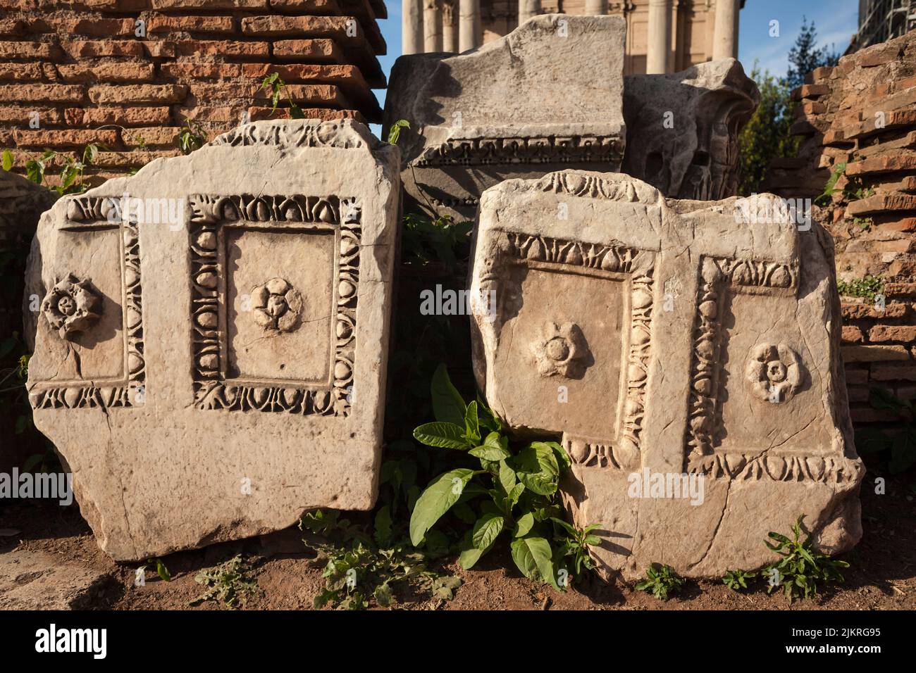 Archeological remains of the Roman Forum Stock Photo - Alamy