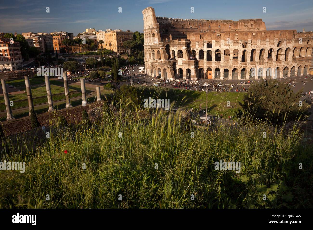 The Roman Colosseum Stock Photo - Alamy
