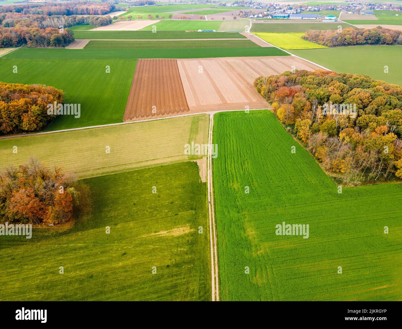 Aerial view of a pastures and arable land. Panorama over healthy green ...
