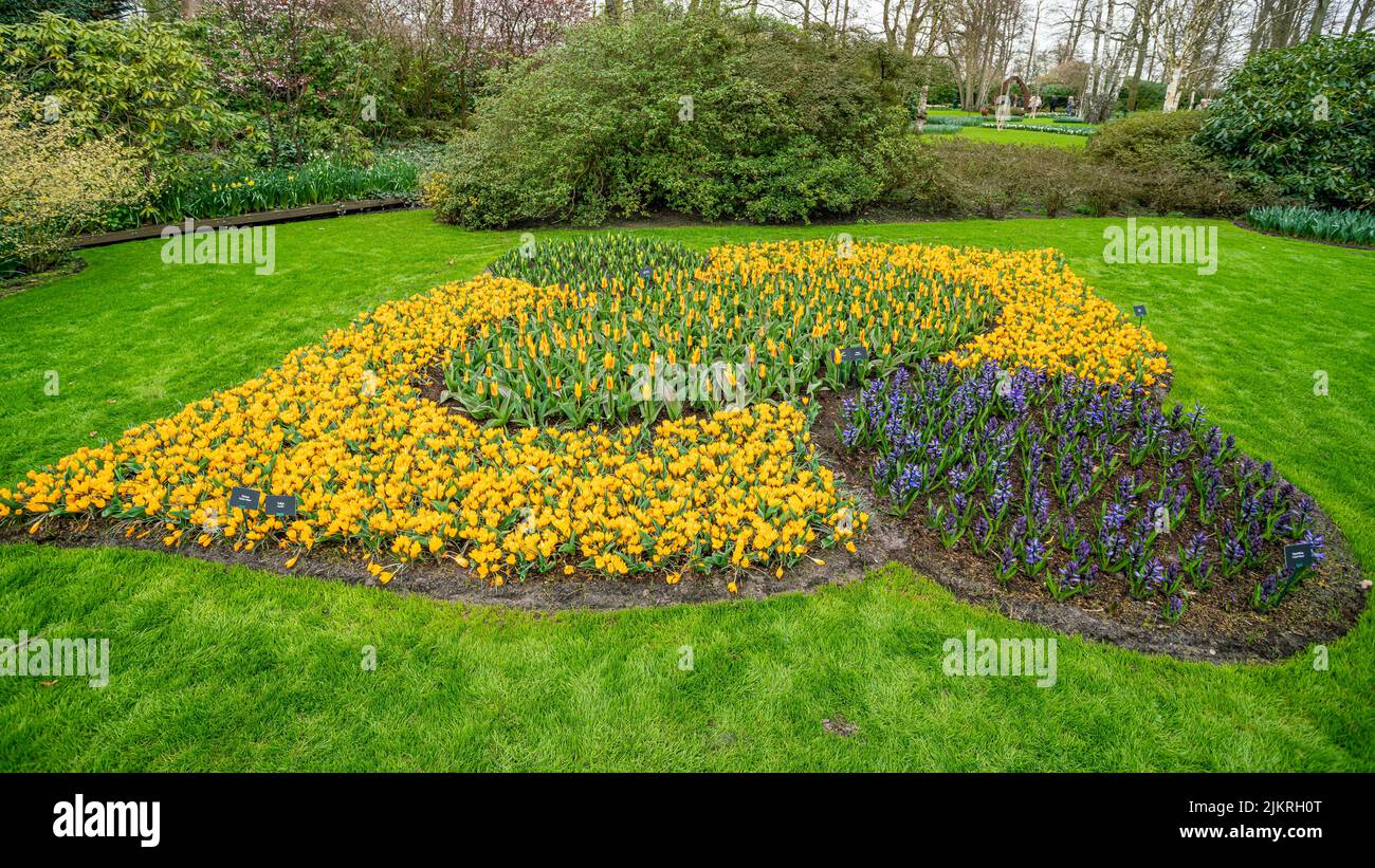Formal spring garden. Flower Bed In Keukenhof Gardens Stock Photo - Alamy
