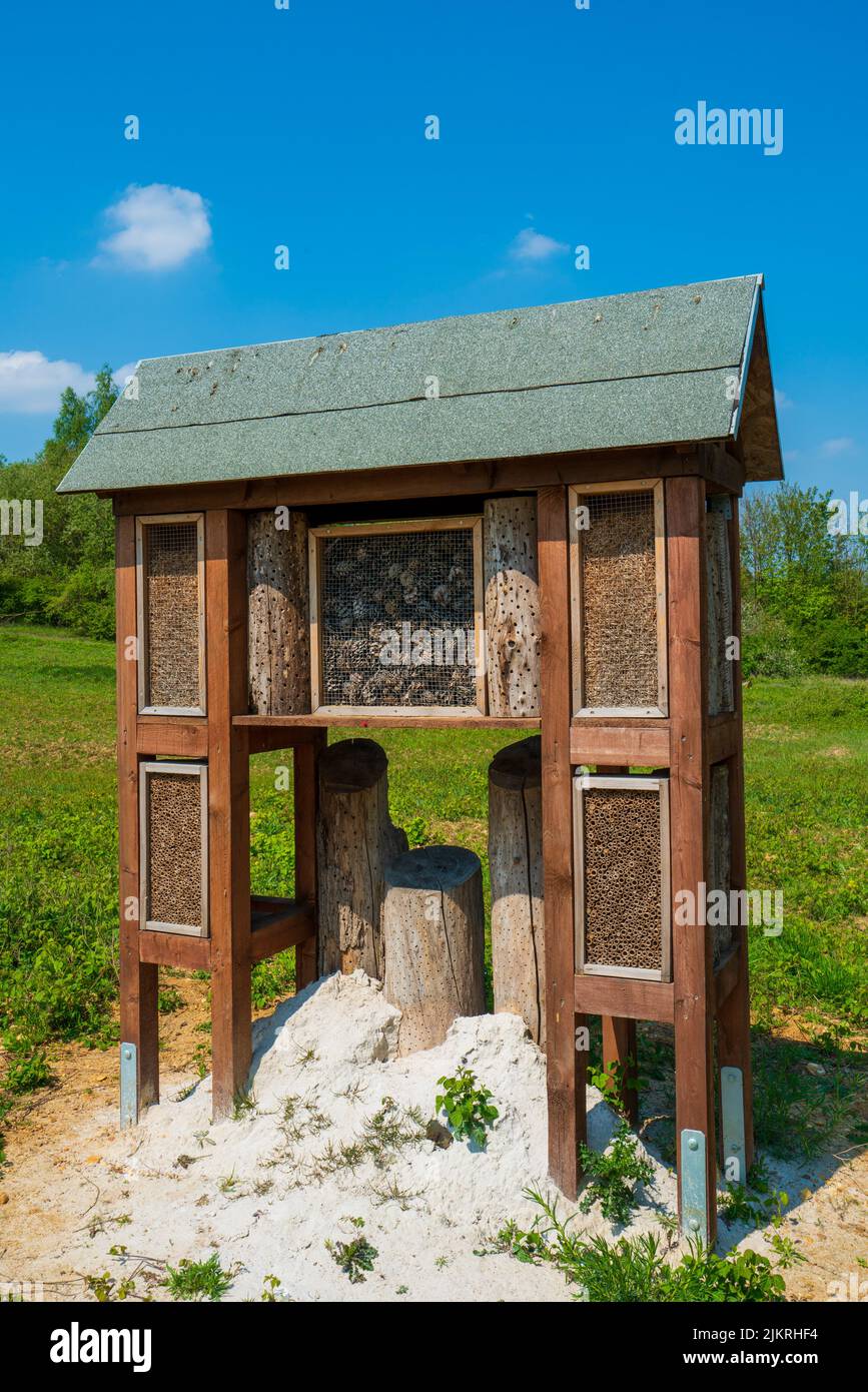 Insect hotel in a green hedge gives protection. Wooden insect house ...