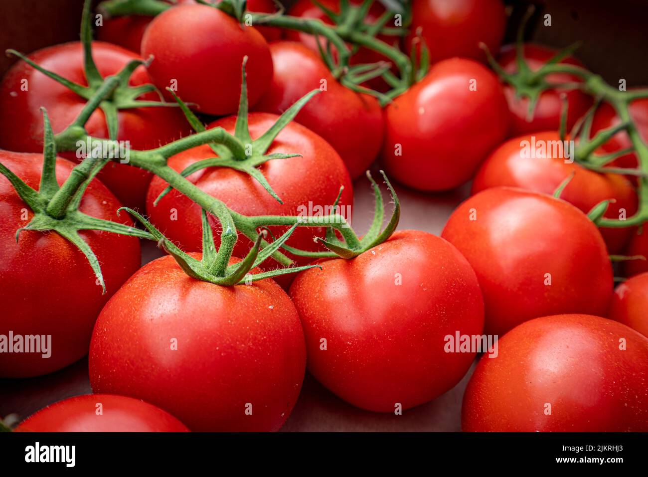 organic tomato closeup vegetable background Top view Stock Photo - Alamy